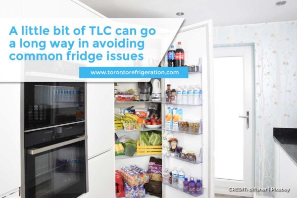 How to Prolong the Life of Your Fridge